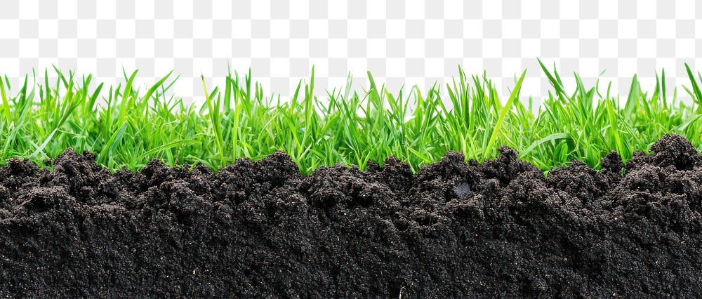 PNG Soil grass outdoors nature. | Free PNG - rawpixel