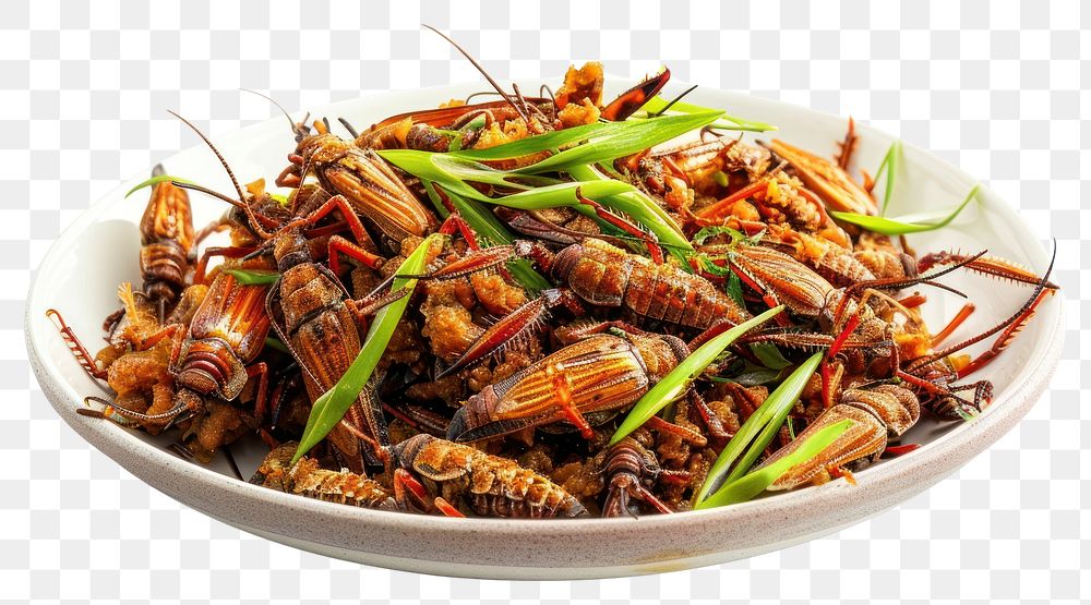 Fried insects plate food invertebrate. | Free PNG - rawpixel
