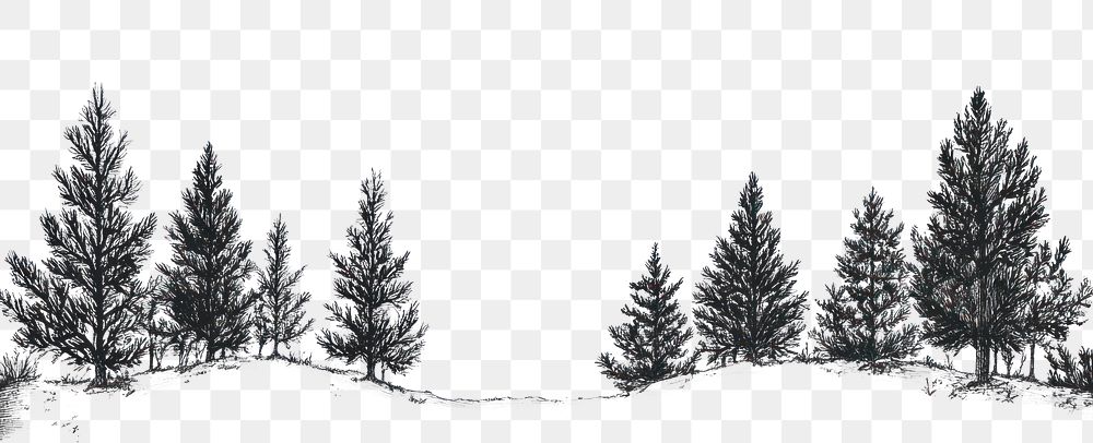 Pine trees border line outdoors | Free PNG - rawpixel