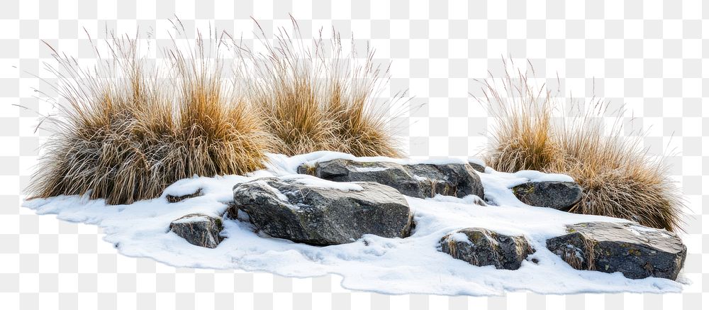 Rocky snowy grass field vegetation | Free PNG - rawpixel
