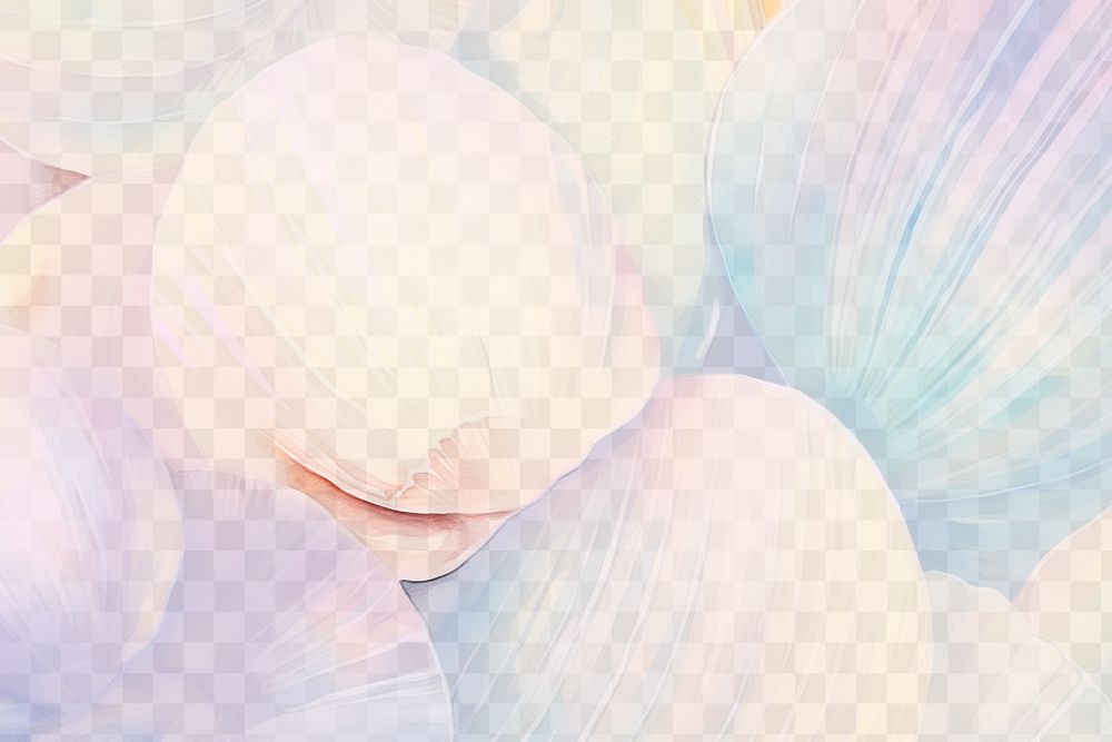 Soft pastel seashell png overlay | Free PNG - rawpixel