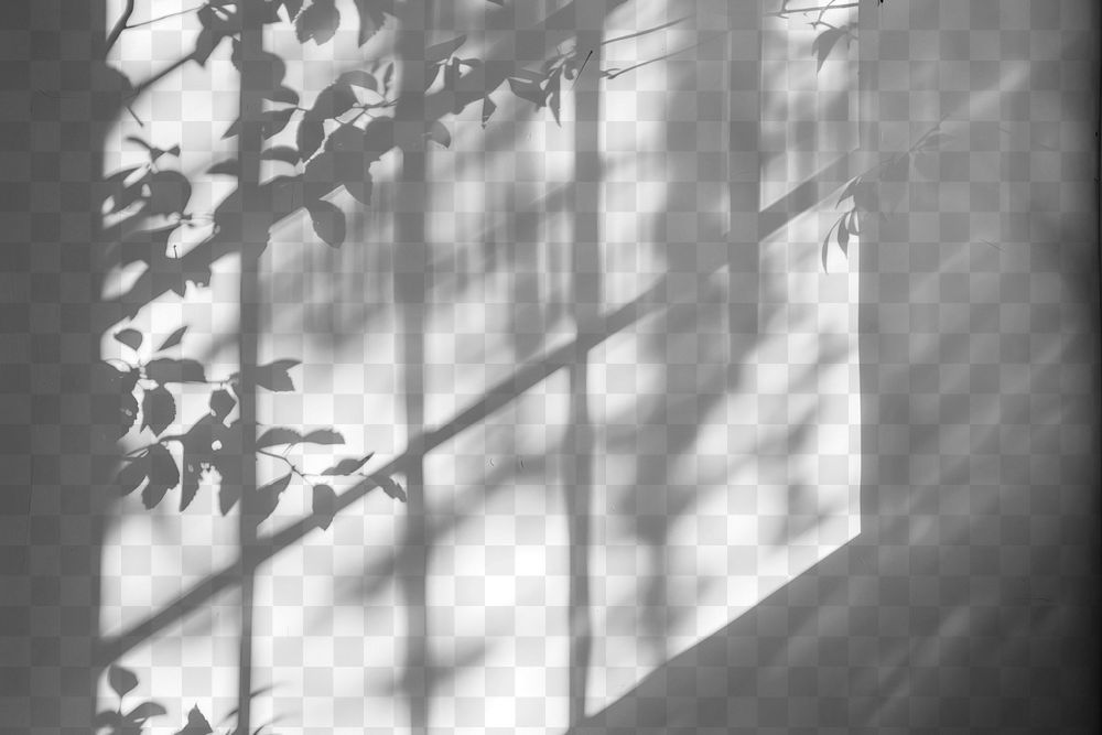 Window shadow outdoors weather nature. | Free PNG - rawpixel