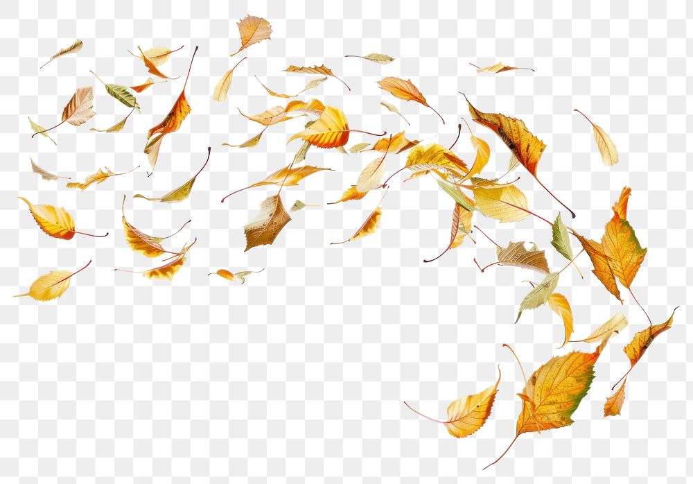 PNG Autumn leaves blowing wind | Premium PNG - rawpixel