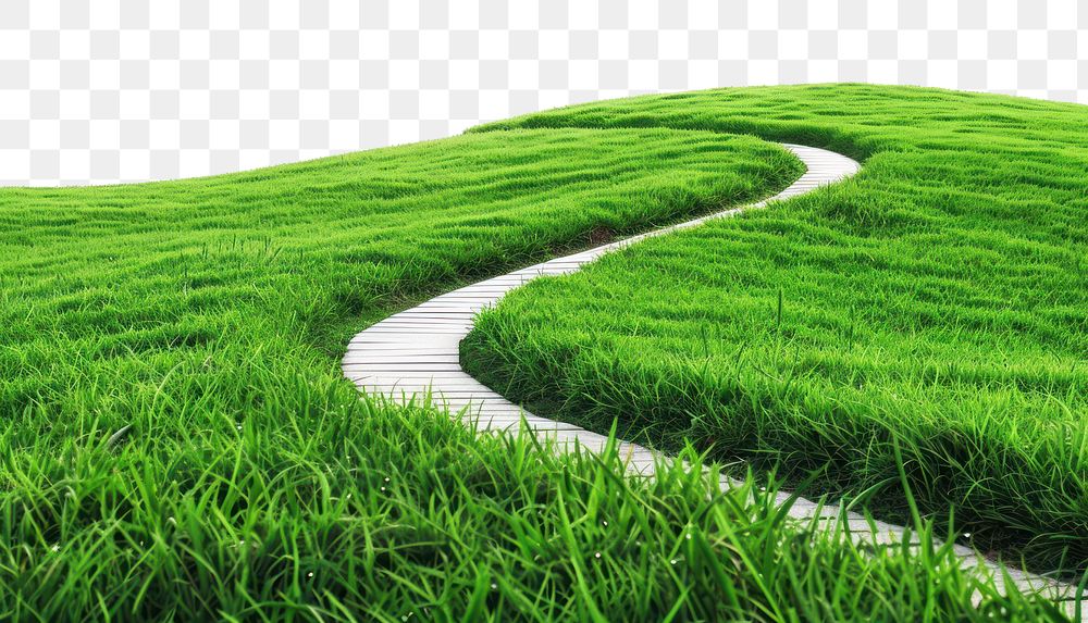 PNG Serene winding path grass | Free PNG - rawpixel