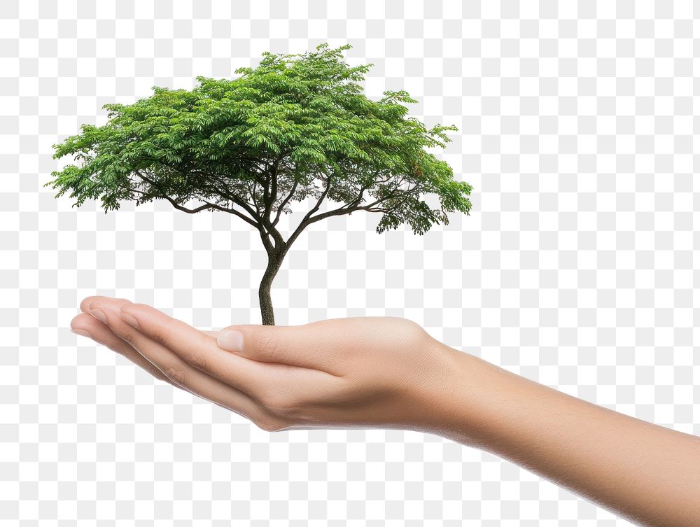 PNG Nature, growth, care, environment, | Free PNG - rawpixel