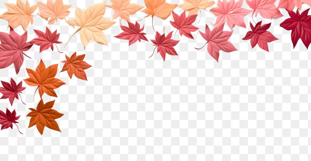 PNG Maple leavesfloral border maple | Free PNG - rawpixel