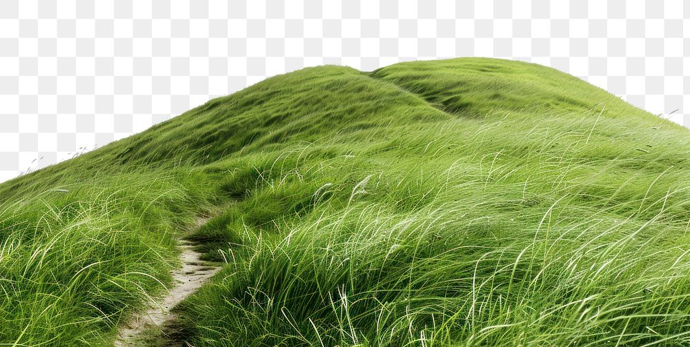 PNG Lush green grassy hill | Free PNG - rawpixel