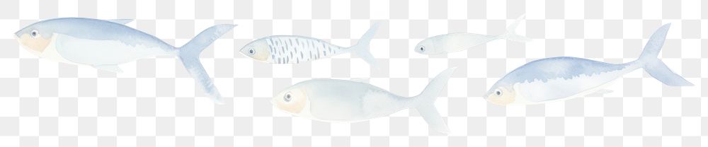 Water Divider PNG Images | Free Photos, PNG Stickers, Wallpapers ...