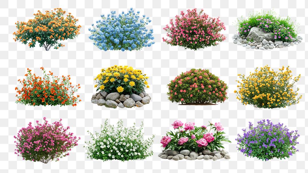 PNG flower bush element set, | Premium PNG - rawpixel