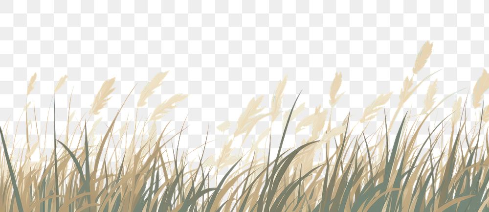PNG Grass outdoors nature plant. | Free PNG - rawpixel