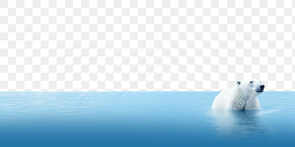 PNG Arctic nature wildlife outdoors. | Free PNG - rawpixel