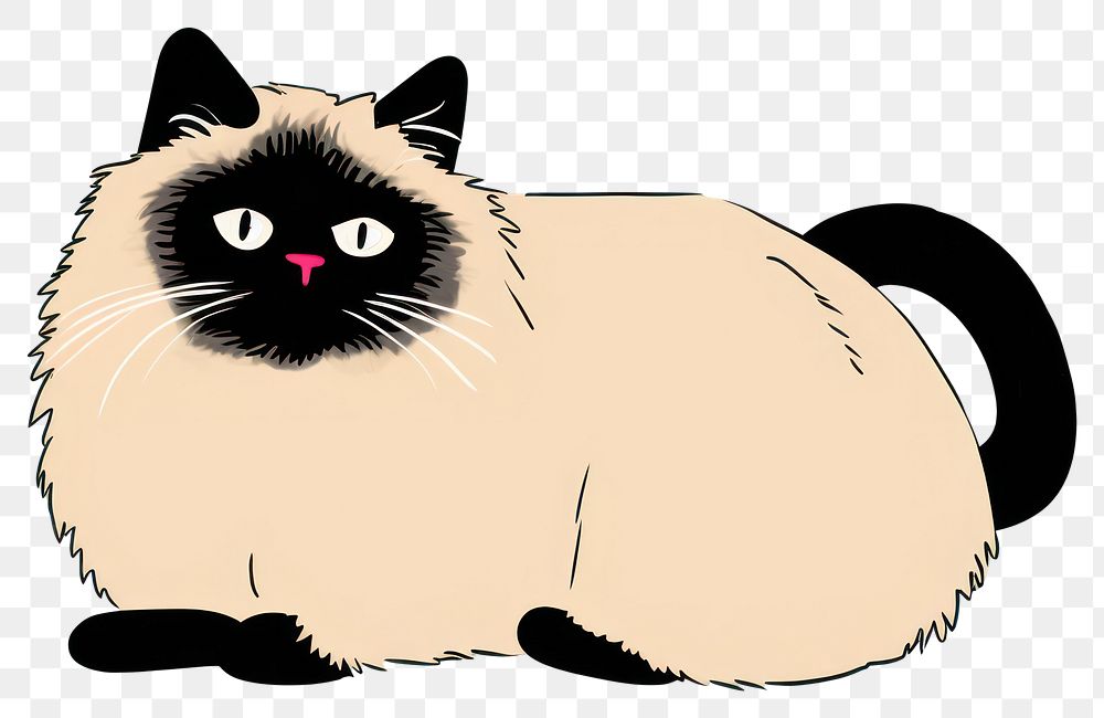 PNG Birman cat cartoon drawing | Free PNG - rawpixel