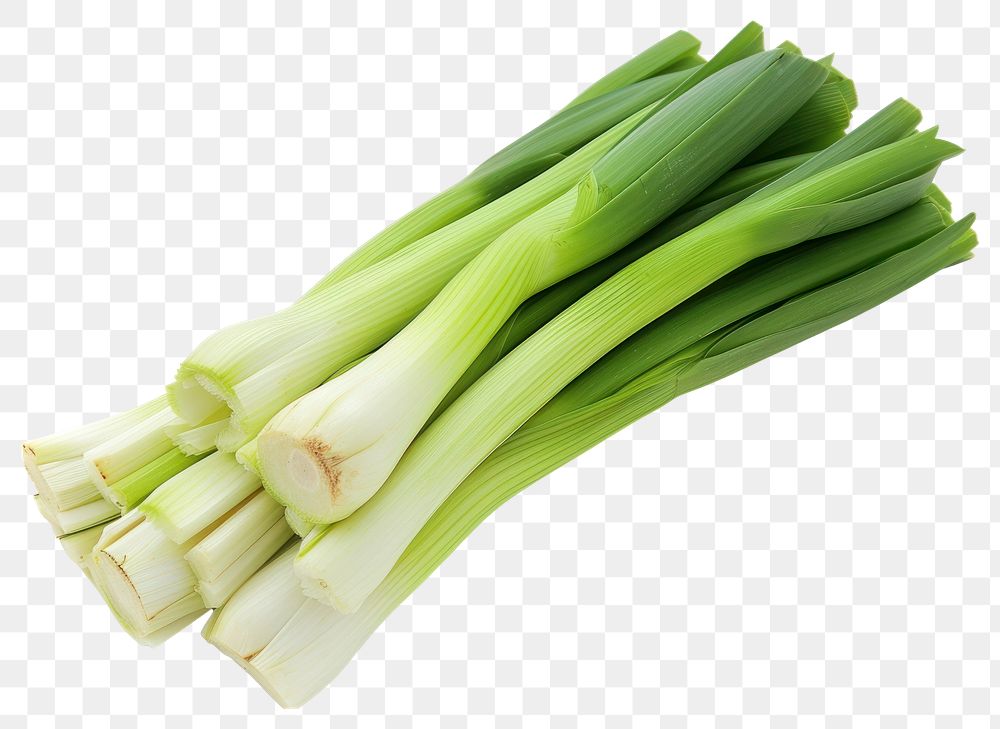 PNG Leeks vegetable plant leek | Free PNG - rawpixel