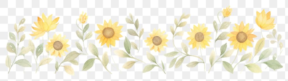 PNG Sunflowers as divider watercolor | Free PNG - rawpixel