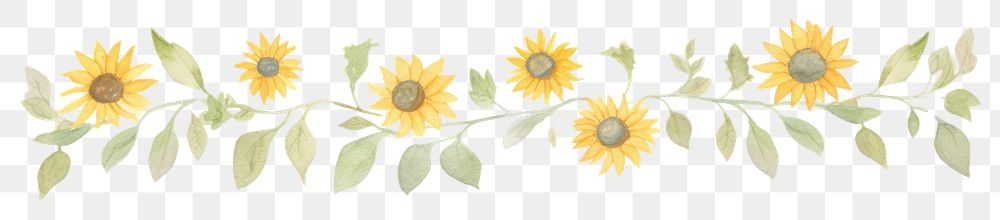 PNG Sunflowers as divider watercolor | Free PNG - rawpixel