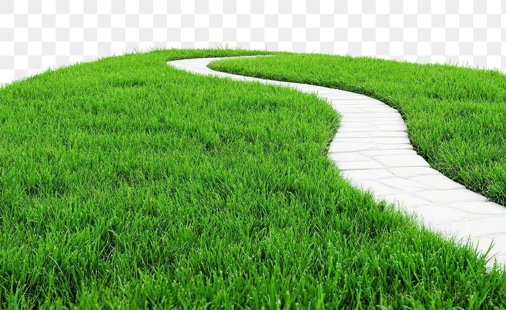 PNG Green grass curved path | Free PNG - rawpixel