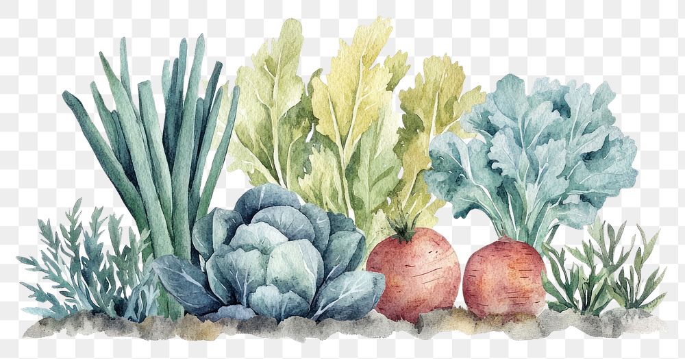 PNG Vegetable Patches vegetables illustration | Free PNG - rawpixel