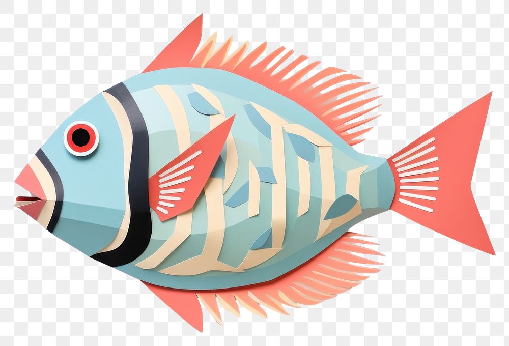 PNG Triggerfish animal art pomacentridae. | Free PNG - rawpixel