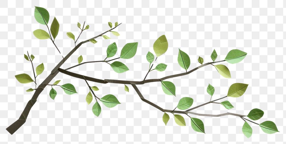 PNG Tree branch plant leaf | Free PNG - rawpixel