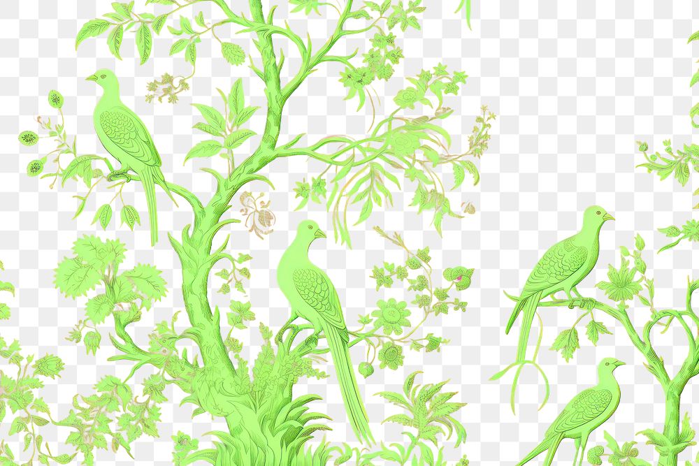 PNG Birds wallpaper pattern green. | Free PNG Illustration - rawpixel