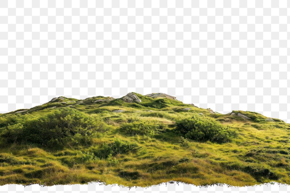PNG Hill border nature plant | Free PNG - rawpixel