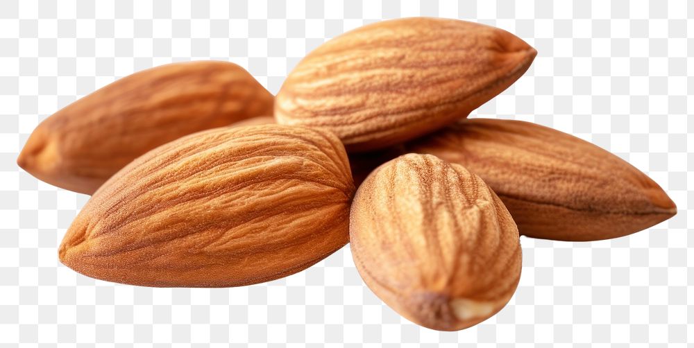 Single Nut - Food Images | Free Photos, PNG Stickers, Wallpapers ...