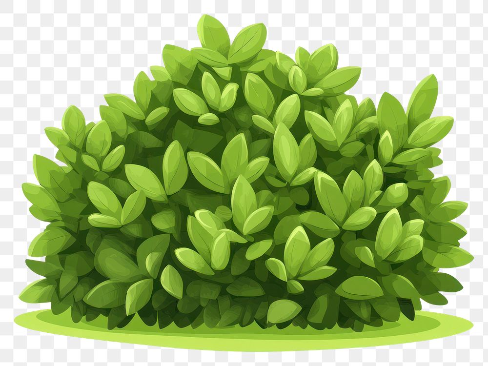 PNG Bushes illustration green plant. | Premium PNG - rawpixel