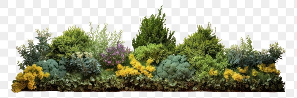 PNG Bushes landscape border outdoors | Free PNG - rawpixel