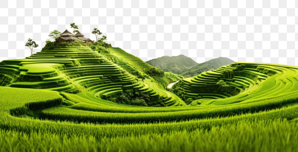 PNG Rice terraces landscape outdoors | Free PNG - rawpixel