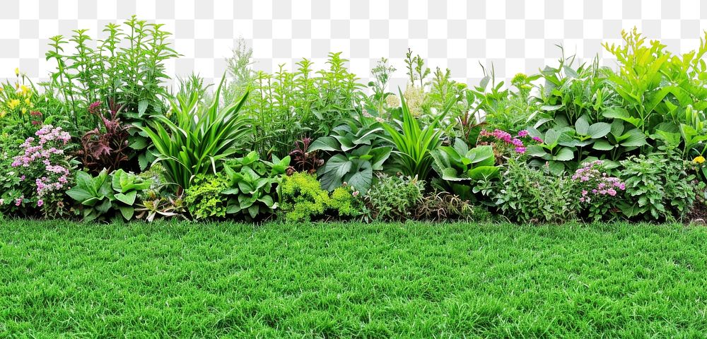 PNG Garden yard outdoors backyard | Premium PNG - rawpixel