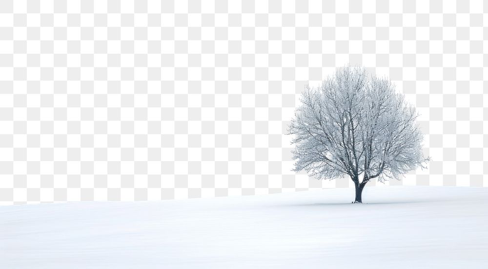 PNG Outdoors nature plant snow. | Premium PNG - rawpixel