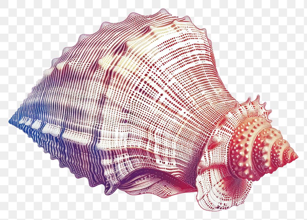PNG Shell conch shell | Free PNG - rawpixel