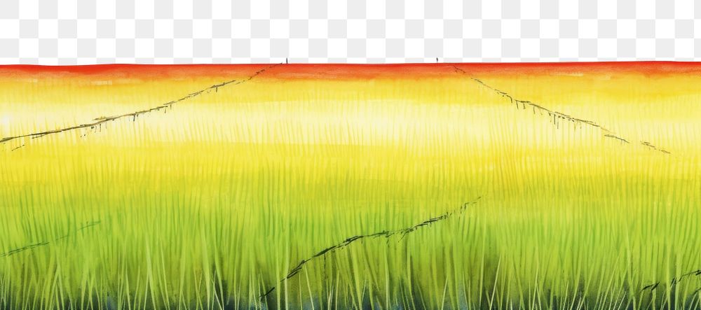PNG Rice field border backgrounds | Free PNG - rawpixel