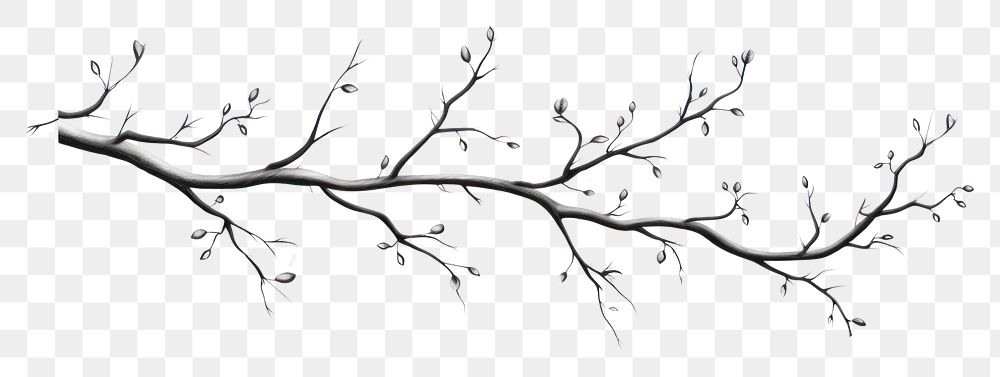PNG Branch border drawing sketch | Free PNG - rawpixel