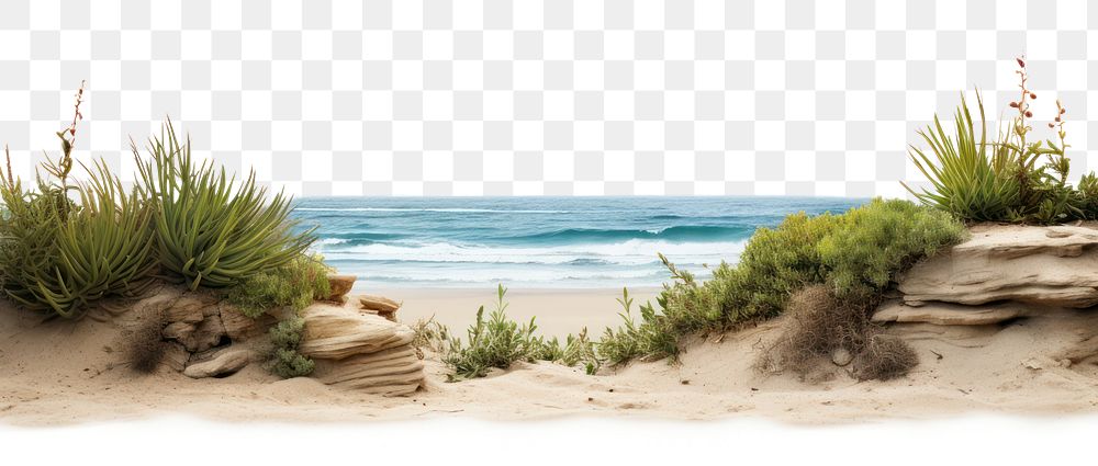 PNG Nature beach landscape outdoors. | Premium PNG - rawpixel