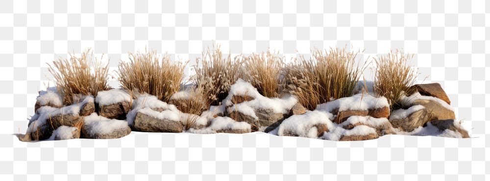 PNG Rocky snowy grass field | Premium PNG - rawpixel