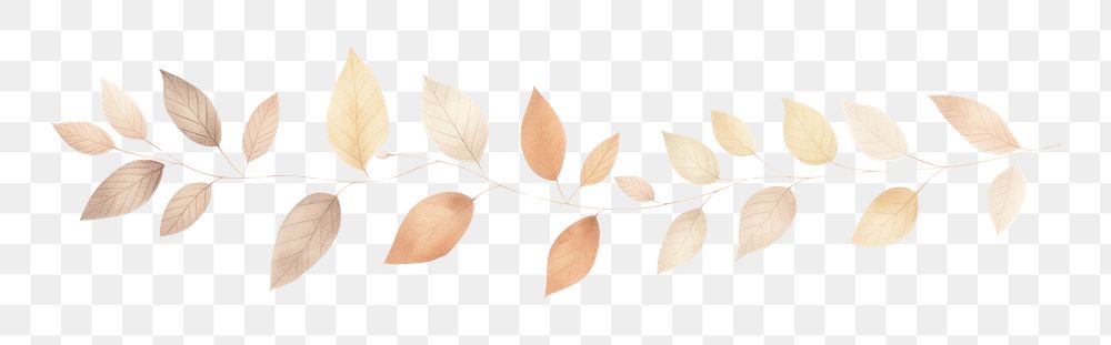 PNG Autumn leaves divider watercolour | Free PNG - rawpixel
