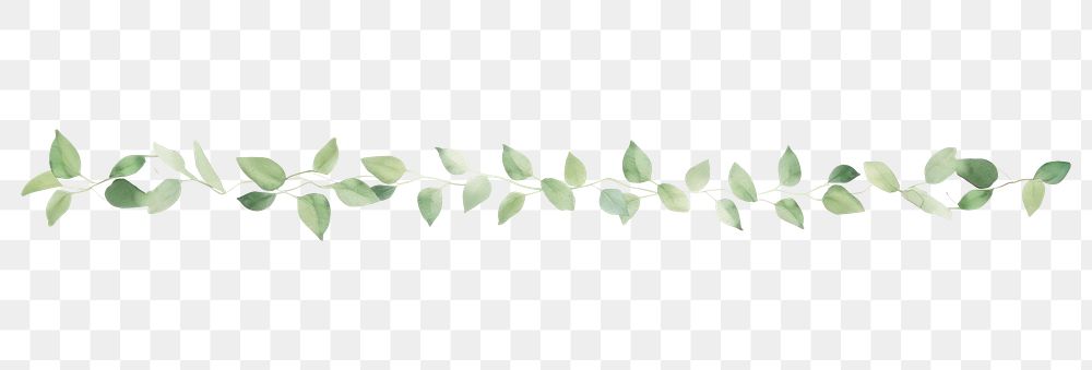 PNG Green leaves as divider | Premium PNG - rawpixel