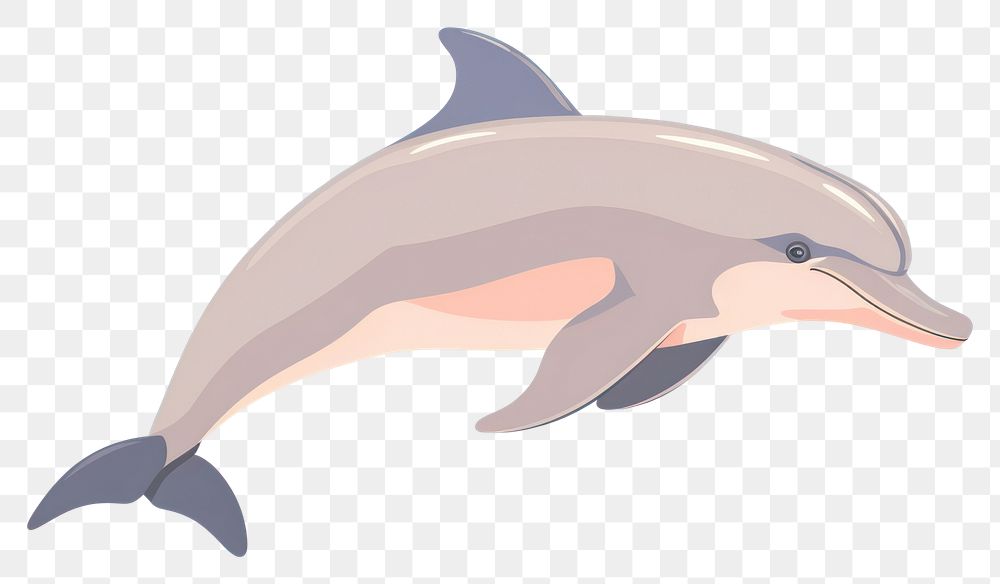 PNG Dolphin animal mammal fish. | Free PNG - rawpixel