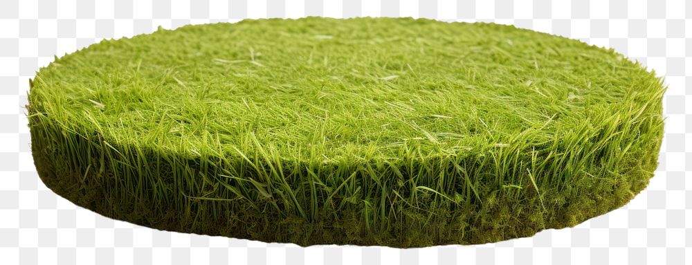 PNG Flat round surface grass | Free PNG - rawpixel