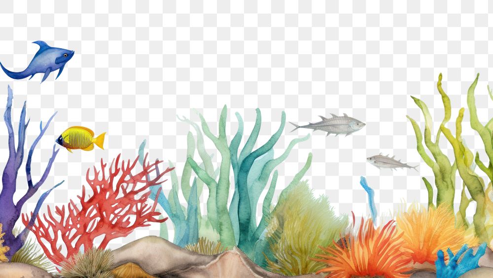 PNG Sea life and ocean | Free PNG - rawpixel