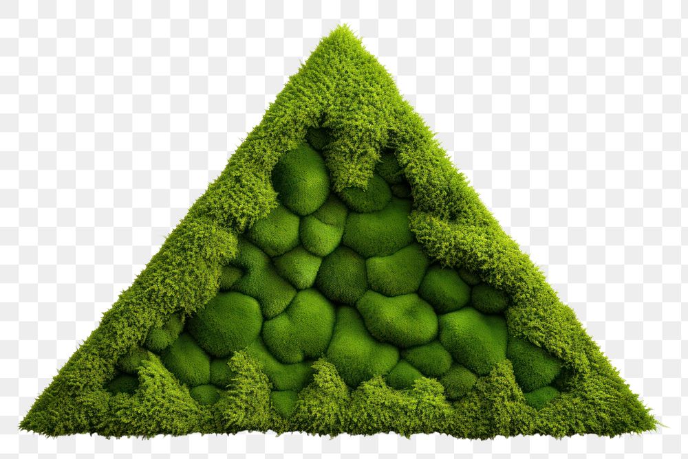 PNG Rhombus shape green plant. | Premium PNG - rawpixel