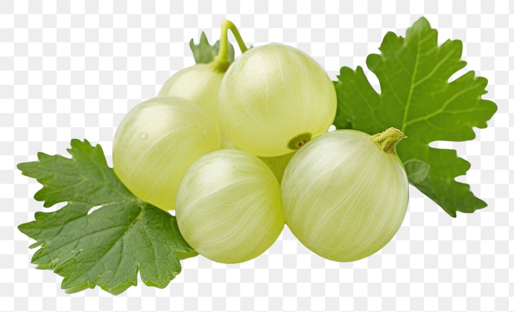 PNG Gooseberry grapes fruit plant. | Premium PNG - rawpixel