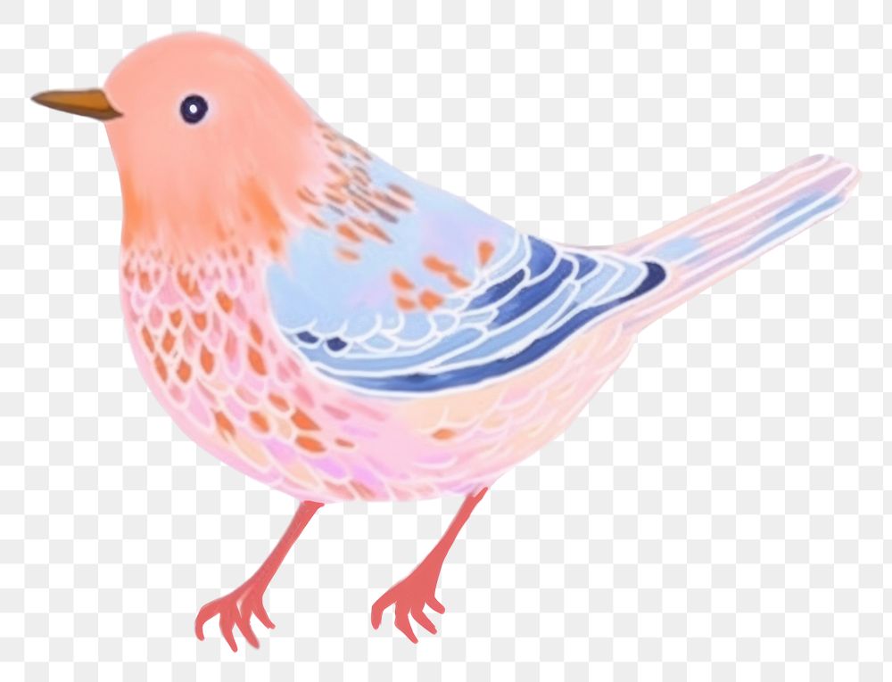 PNG Bird drawing animal sketch | Free PNG - rawpixel