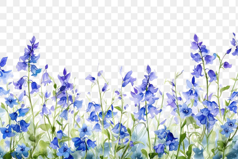 PNG Bluebells border nature outdoors | Free PNG - rawpixel