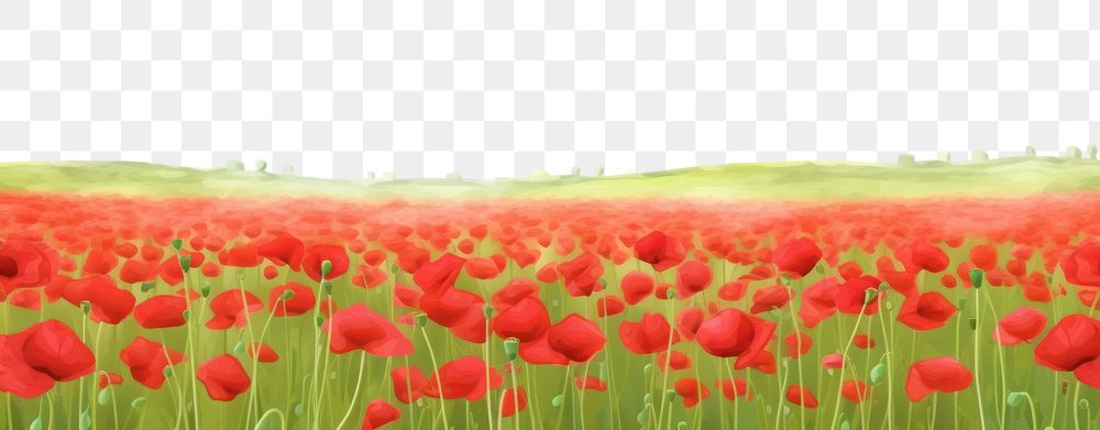 PNG Poppy flower field landscape | Free PNG - rawpixel