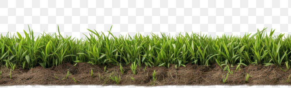 PNG Agricultural field agriculture outdoors | Free PNG - rawpixel