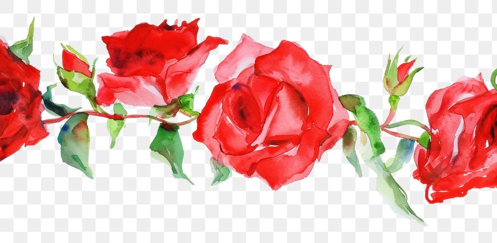 PNG Red rose watercolor border | Free PNG - rawpixel