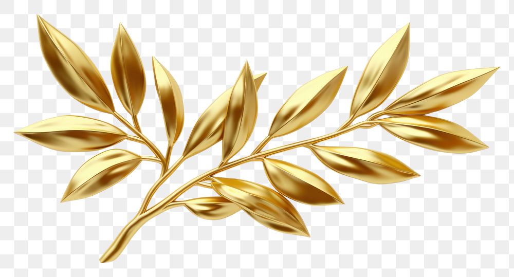 PNG Olive leaves gold jewelry | Free PNG - rawpixel