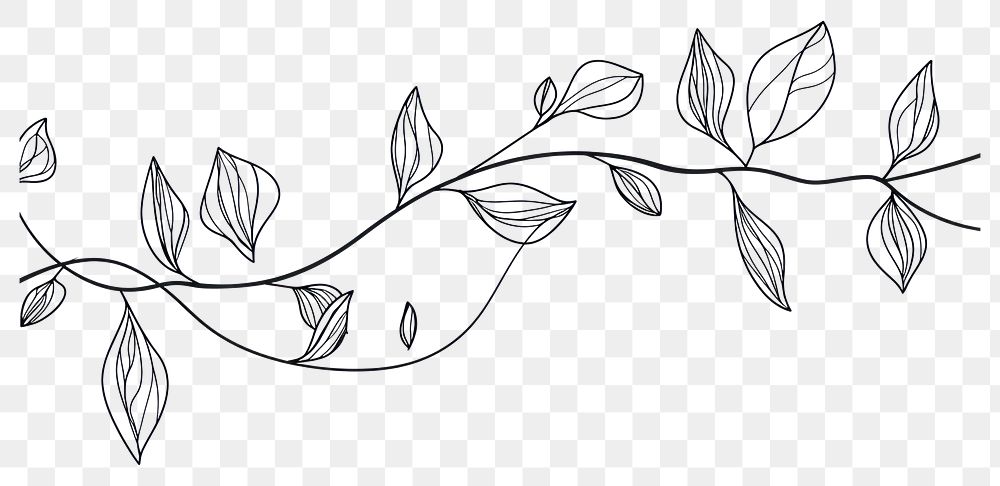 PNG Continuous line drawing vine | Premium PNG - rawpixel